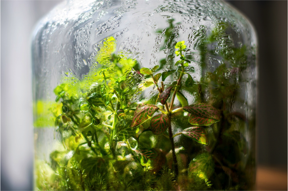 QRDI Open Innovation Challenges - QRDI